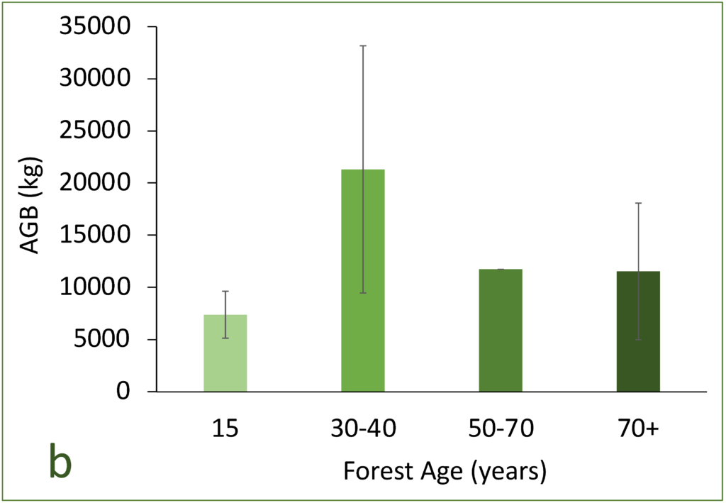 What Secondary Forests Can Tell Us About Our Future - Tropical Ecology